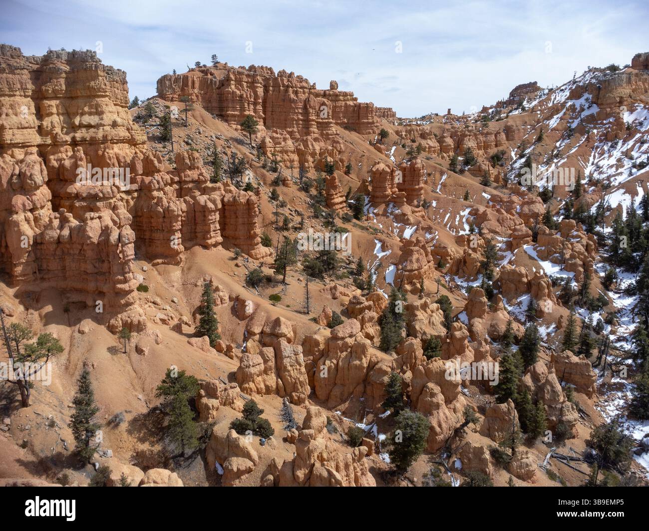 Dixie National Forest, Utah Stock Photo - Alamy