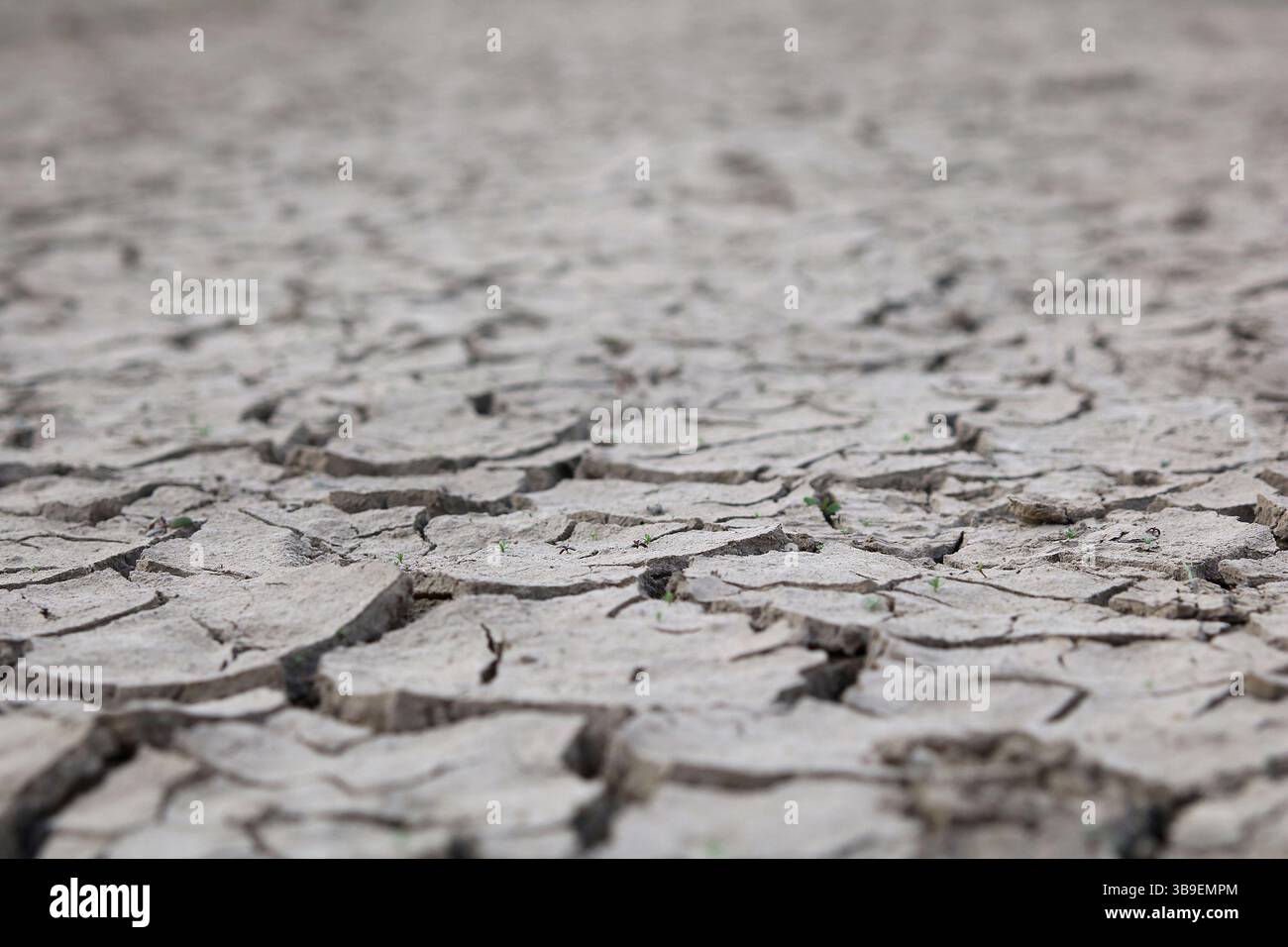 Dried up river bed Stock Photo - Alamy