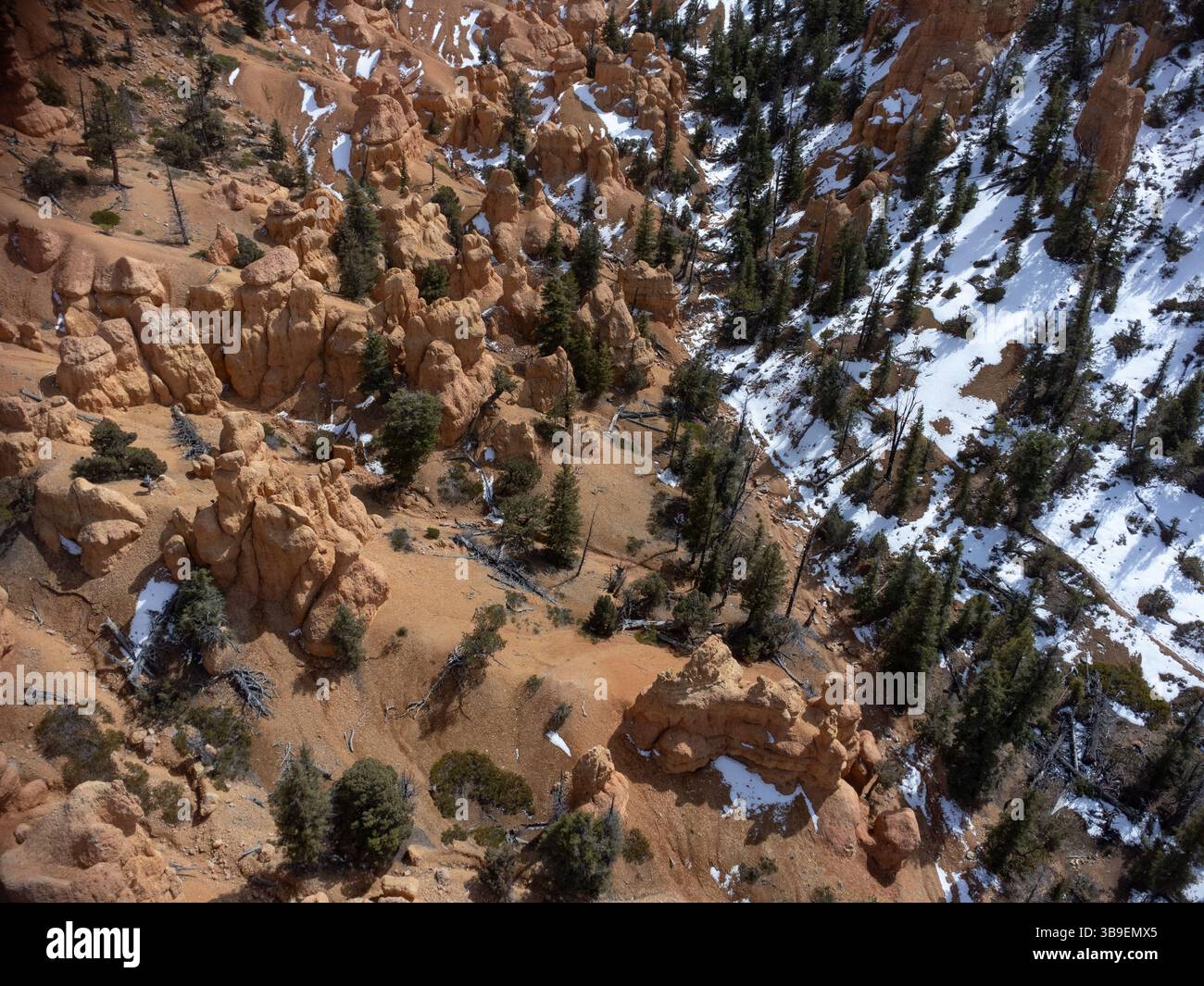 Dixie National Forest, Utah Stock Photo - Alamy