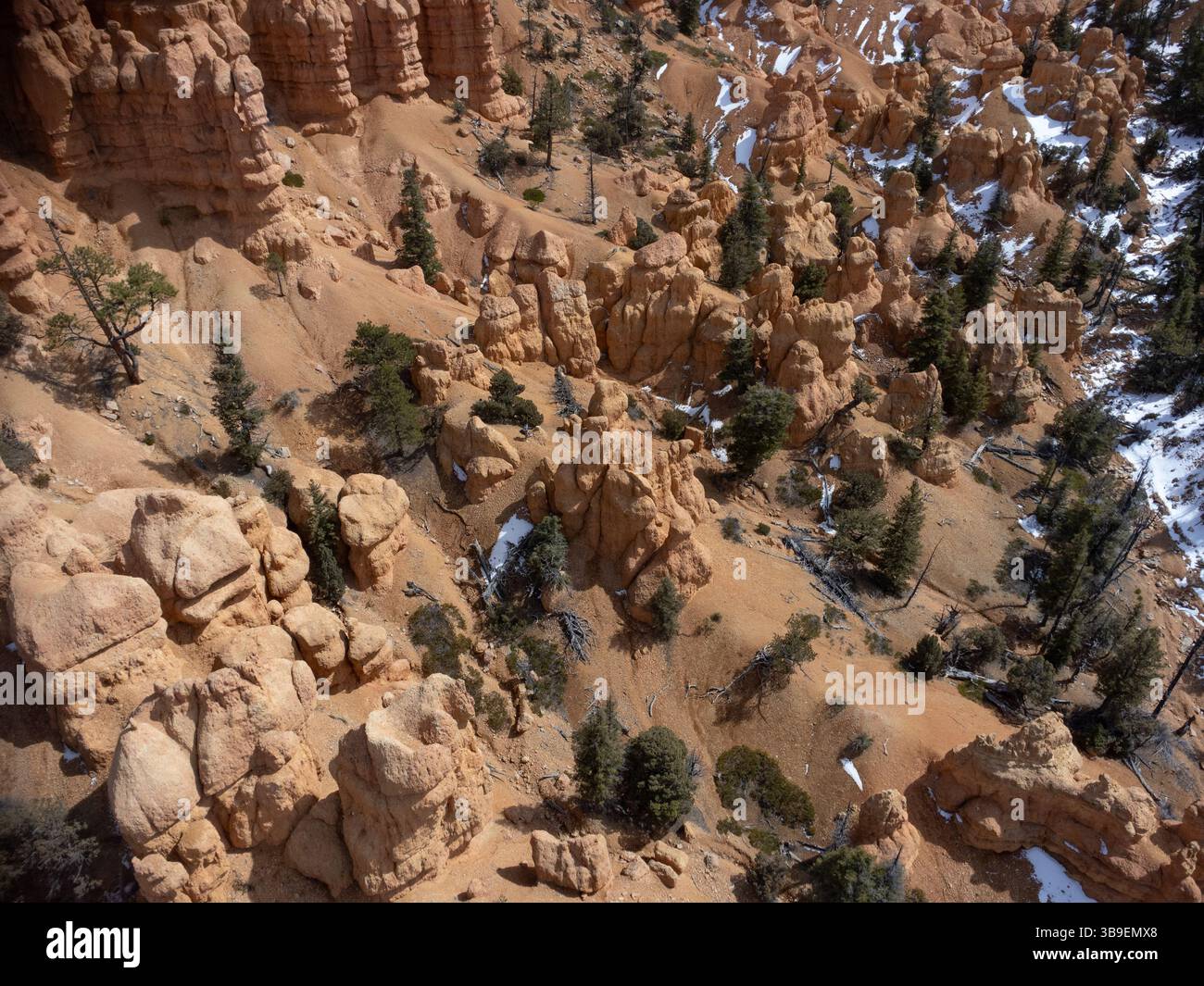 Dixie National Forest, Utah Stock Photo - Alamy