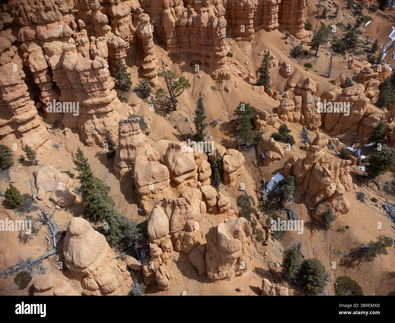 Dixie National Forest, Utah Stock Photo - Alamy