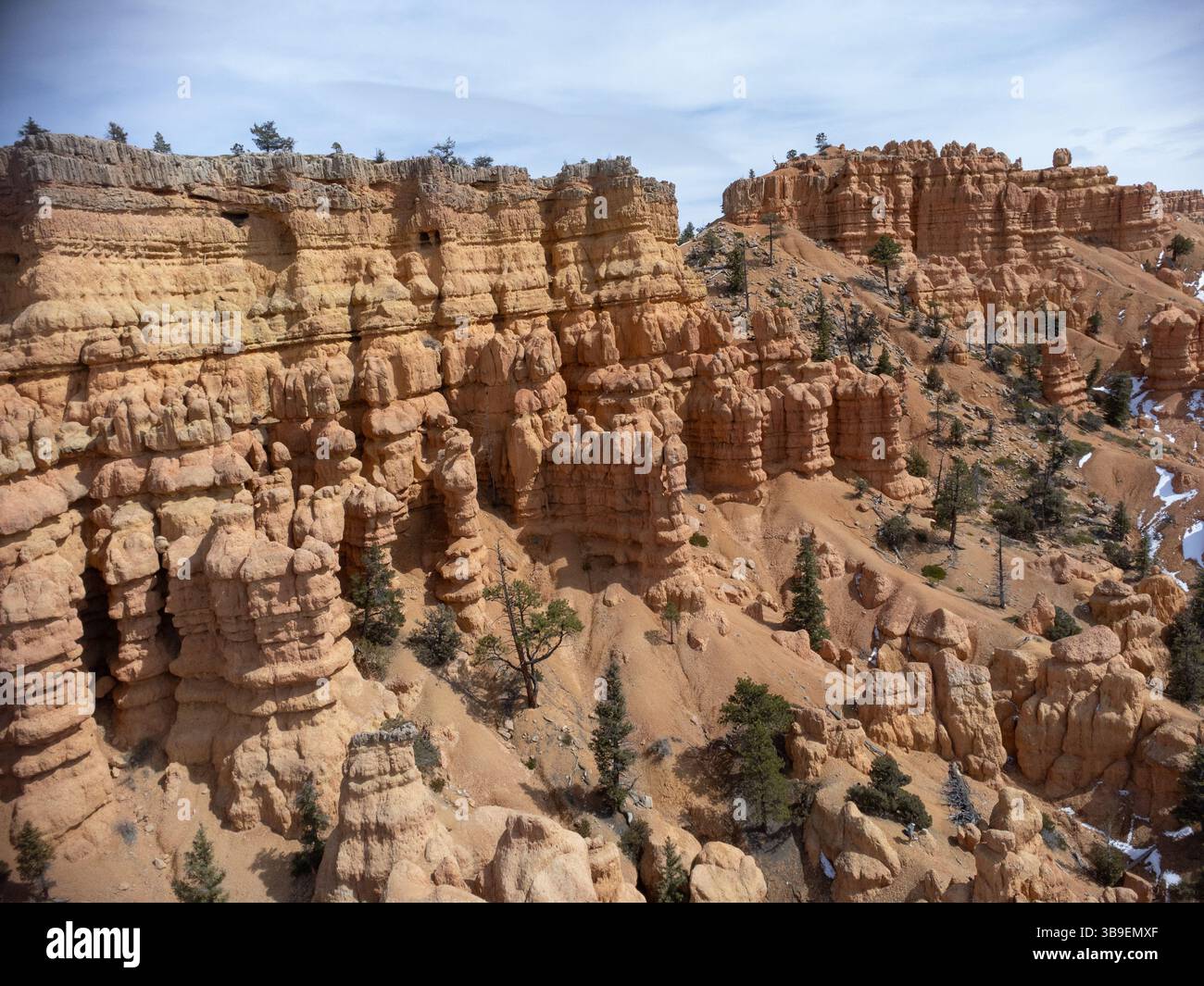 Dixie National Forest, Utah Stock Photo - Alamy