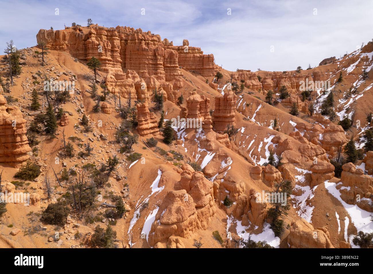 Dixie National Forest, Utah Stock Photo - Alamy