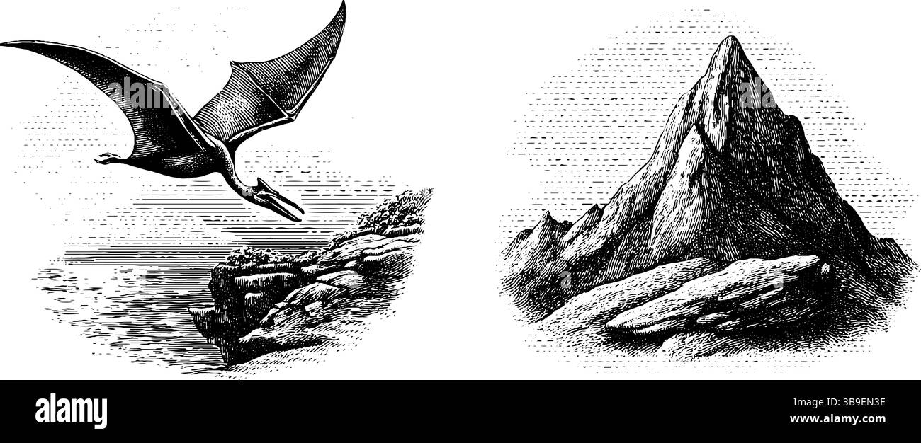 Vintage dinosaur era engraving of pterodactyl in flight and mountain ...