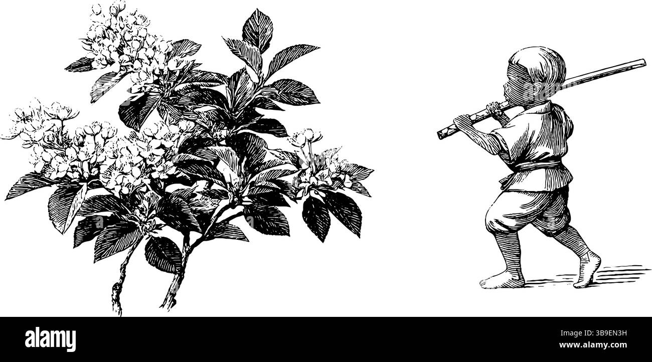 Engraved illustration of samurai child with wooden sword and floral ...