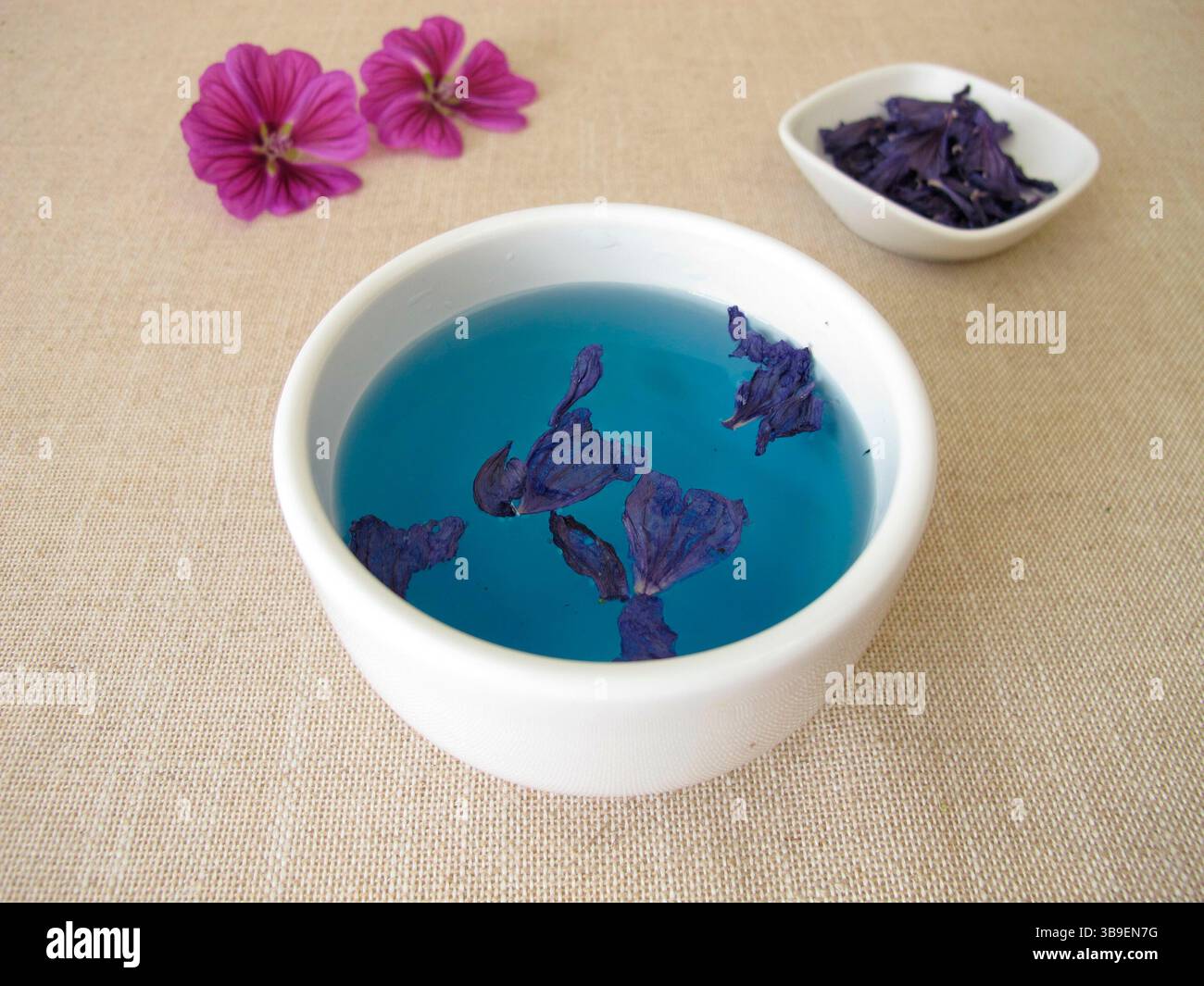 Blue mallow blossom tea, tea from dried mallow Stock Photo - Alamy