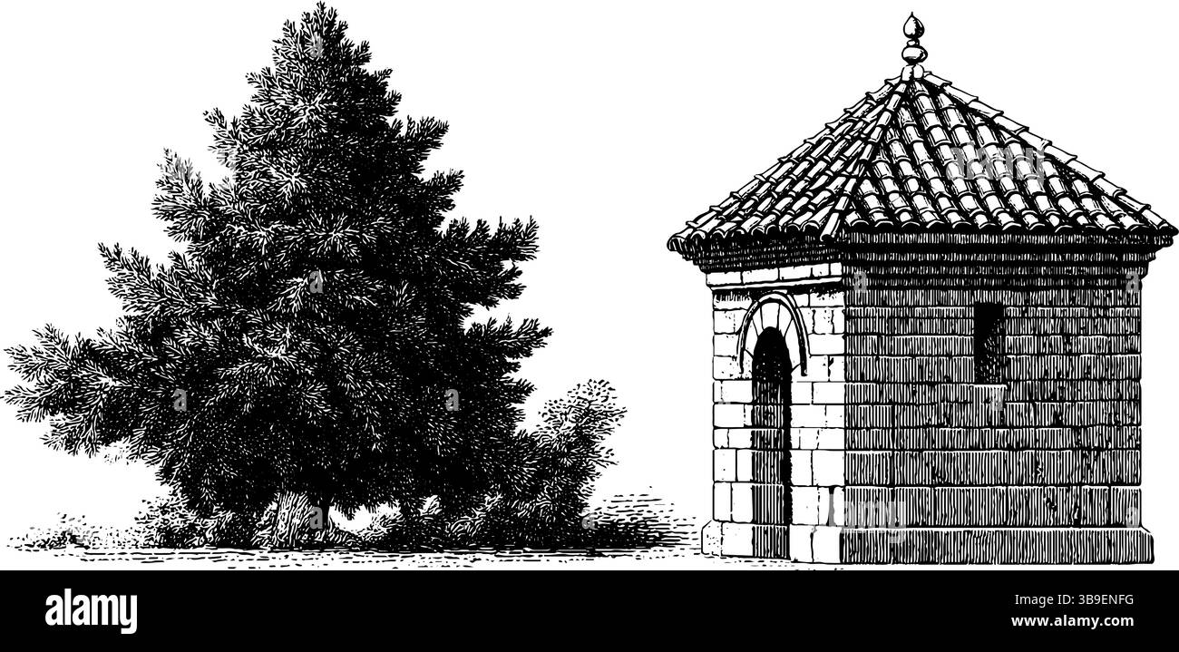Engraved illustration of historic castle gate and pine tree for vintage ...