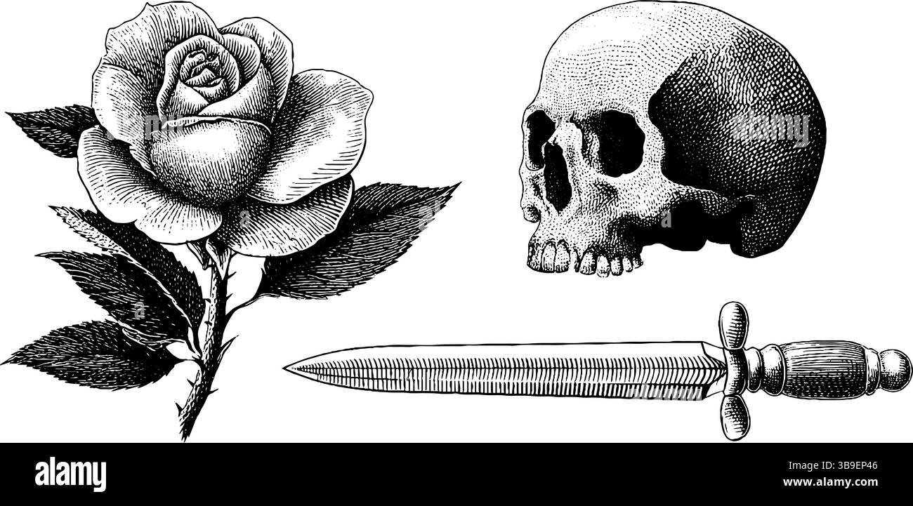 Vintage engraved illustration set featuring rose, skull, and dagger for ...
