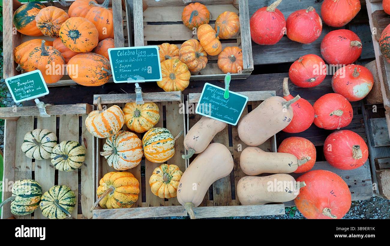 Pumpkin in wooden box Stock Photo - Alamy