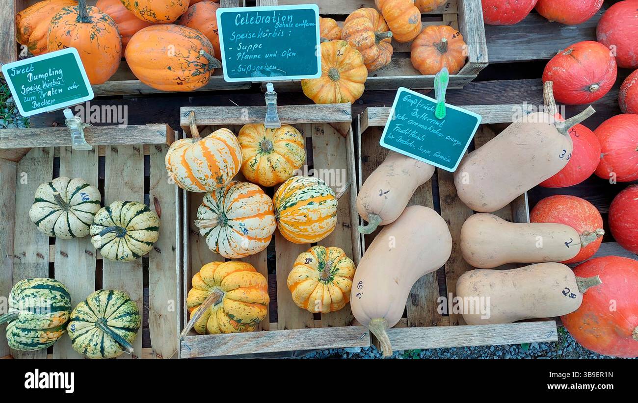Pumpkin in wooden box Stock Photo - Alamy