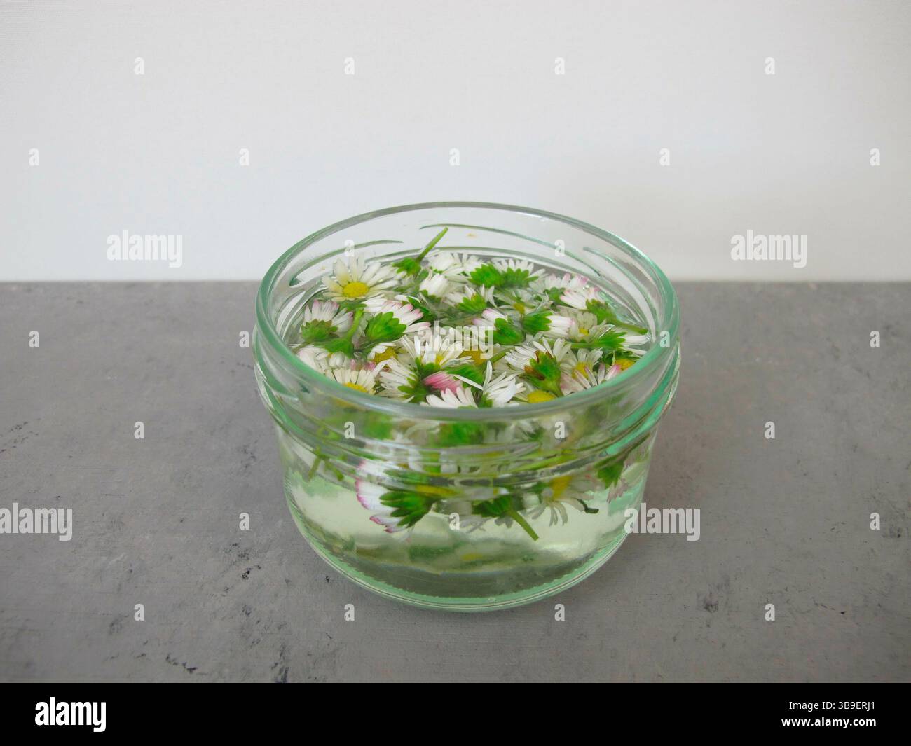 Homemade daisy facial tonic extract in a jar Stock Photo - Alamy