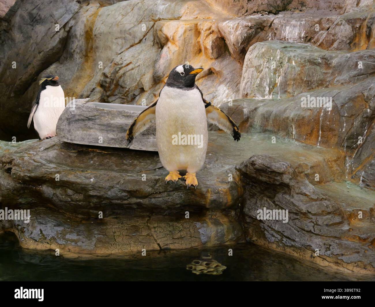 St. Louis, Missouri - May 4, 2025: Saint Louis Zoo - Top Free Zoo in ...