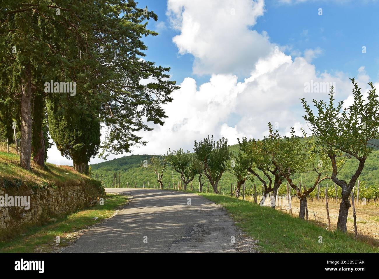 Chianti roads hi-res stock photography and images - Alamy