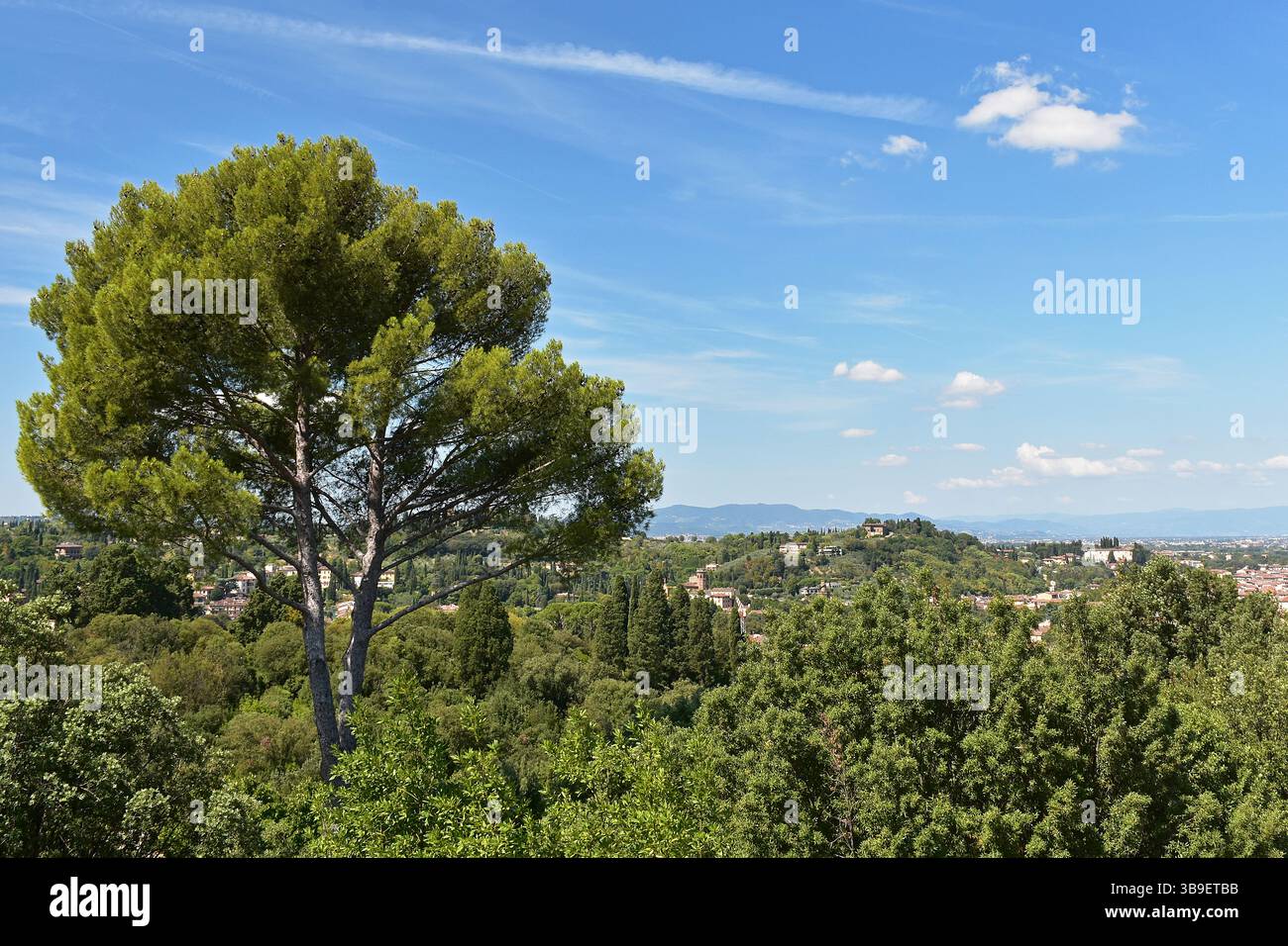 Florence forest hi-res stock photography and images - Alamy