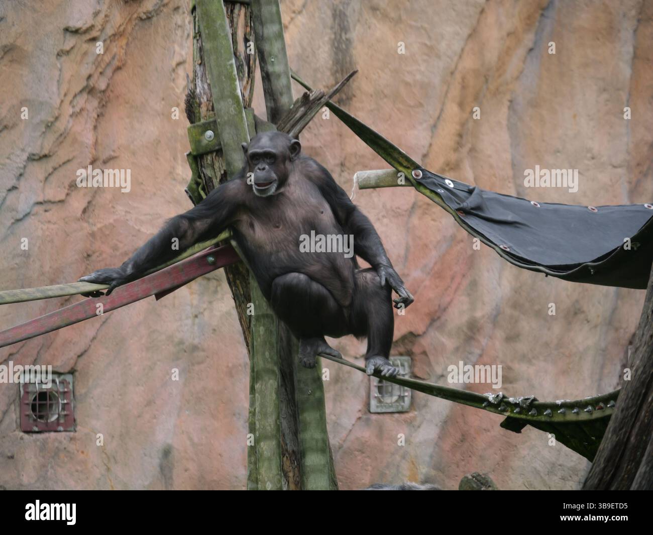St. Louis, Missouri - May 4, 2025: Saint Louis Zoo - Top Free Zoo in ...