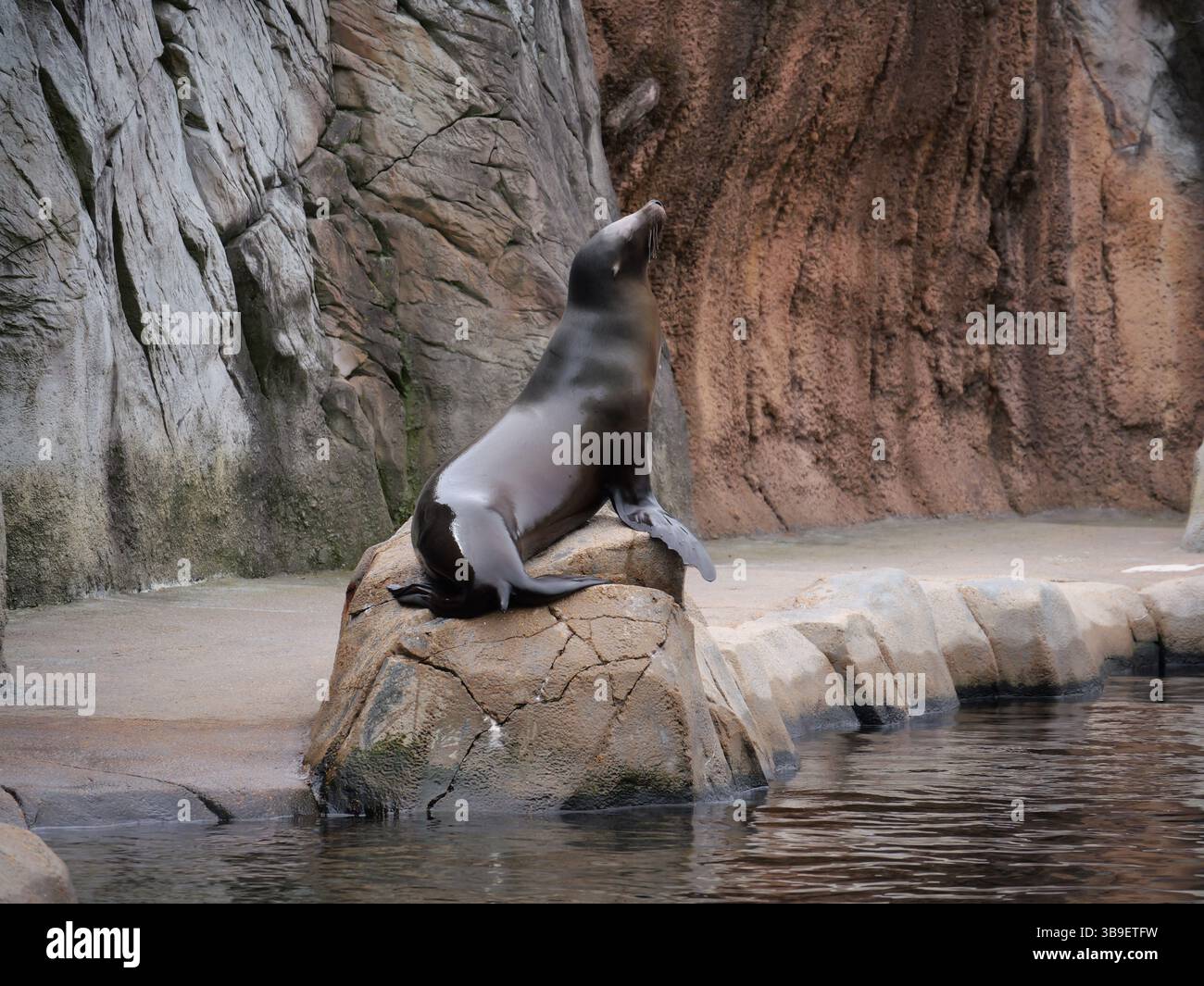 St. Louis, Missouri - May 4, 2025: Saint Louis Zoo - Top Free Zoo in ...