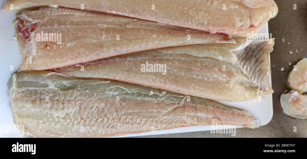 A halibut yields four half fillets Stock Photo - Alamy