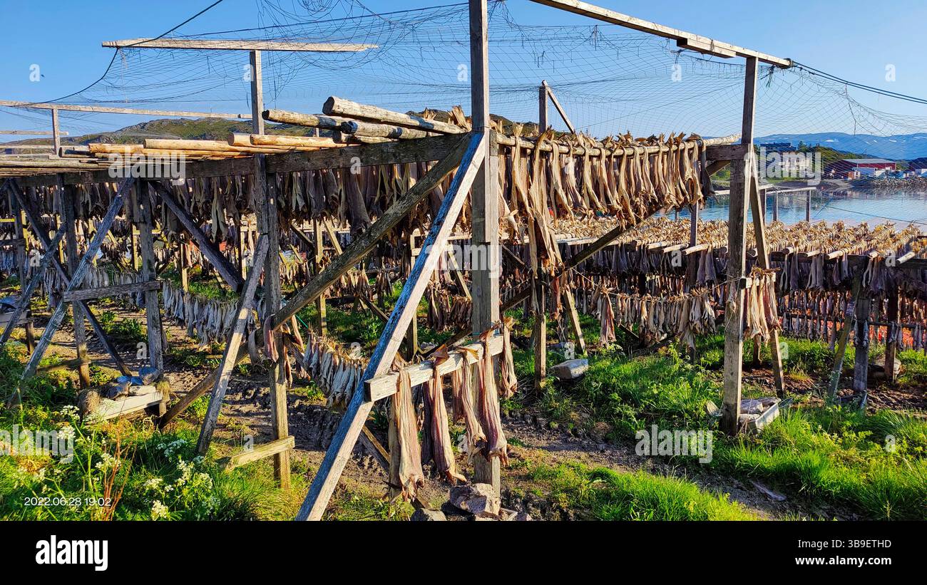 Dried cod hi-res stock photography and images - Alamy
