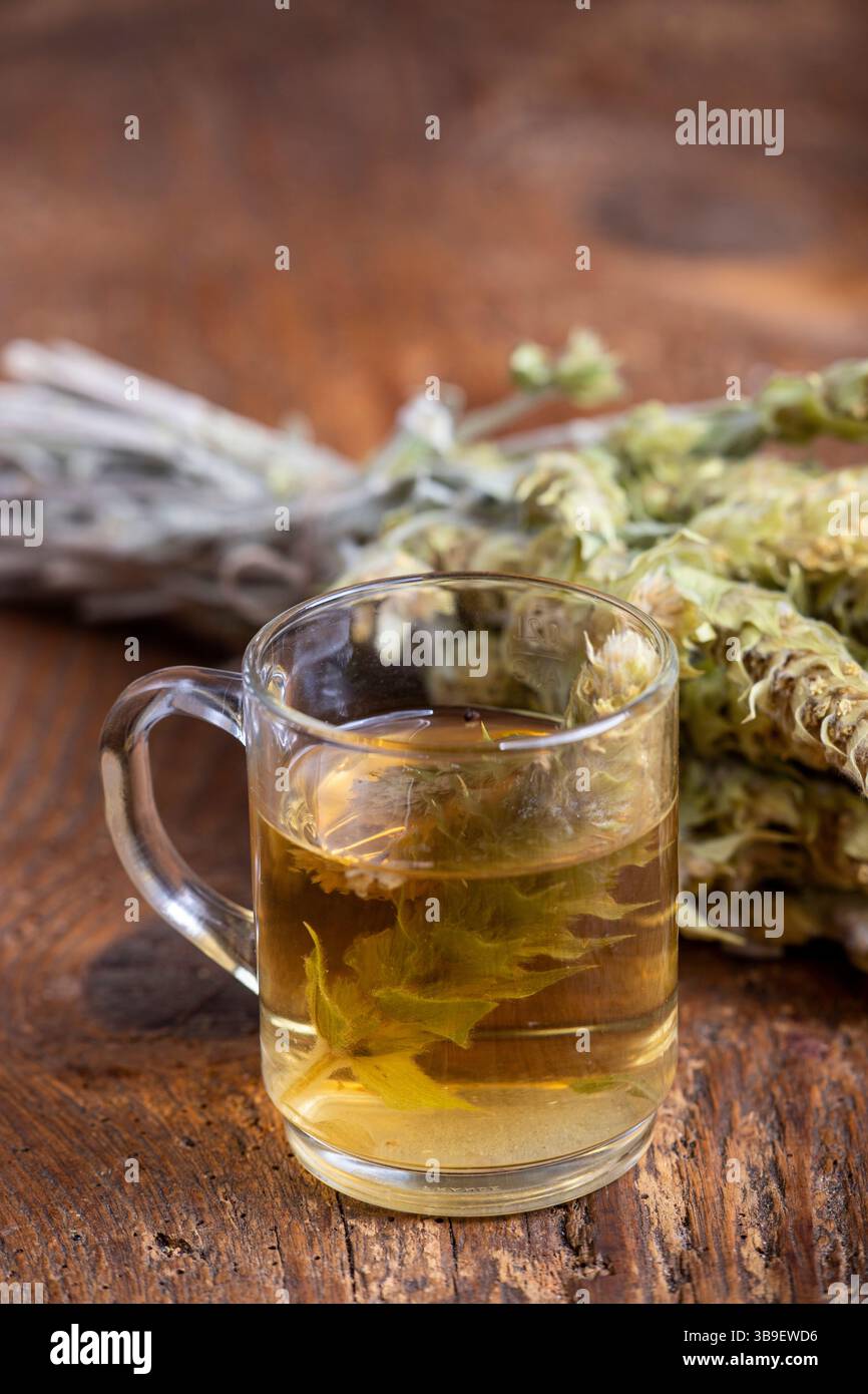 Greek sideritis tea hi-res stock photography and images - Alamy