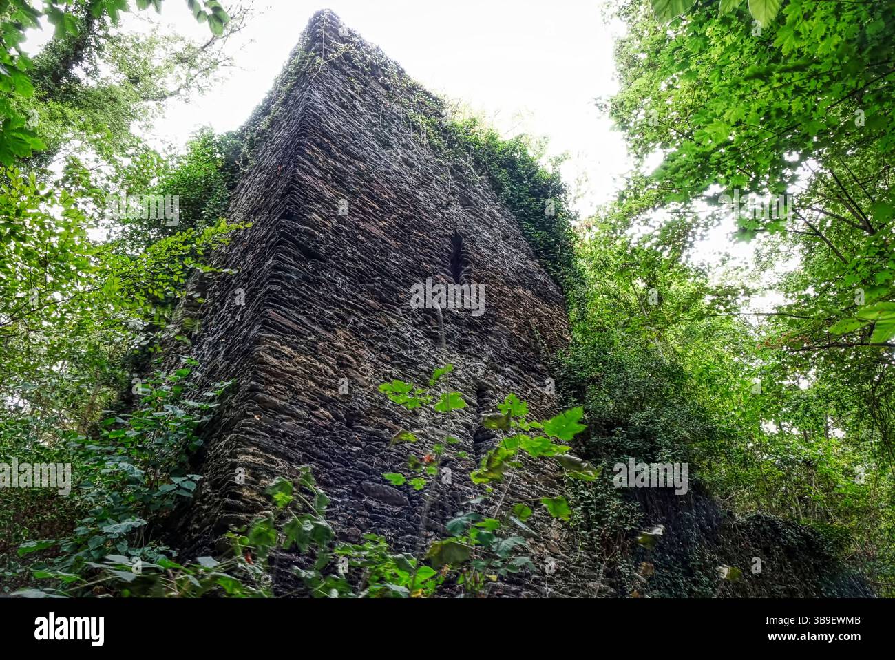 Ruin of the stein castle in the mountains near nassau hi-res stock ...