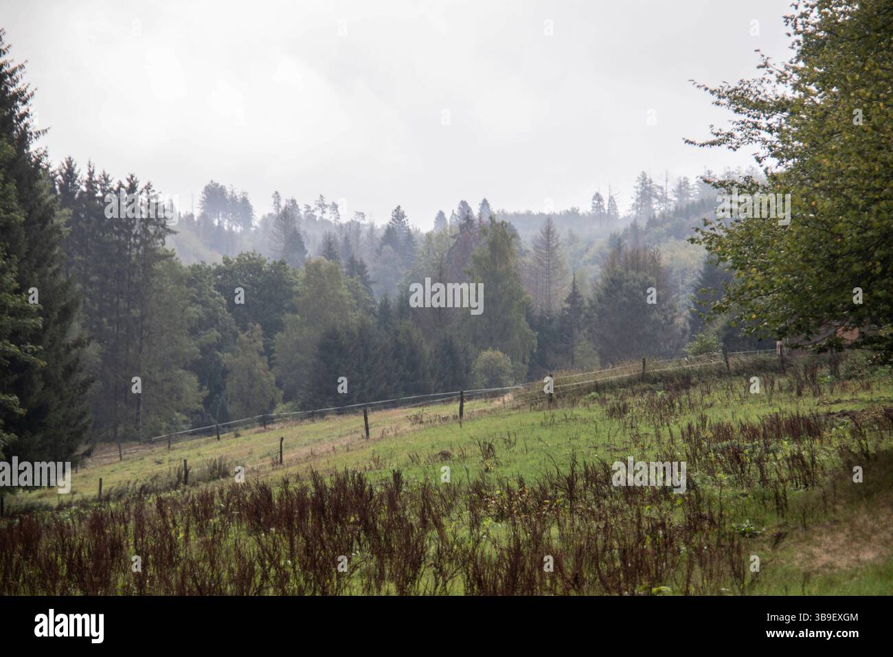 Forest covered cloudy mountainscape hi-res stock photography and images ...