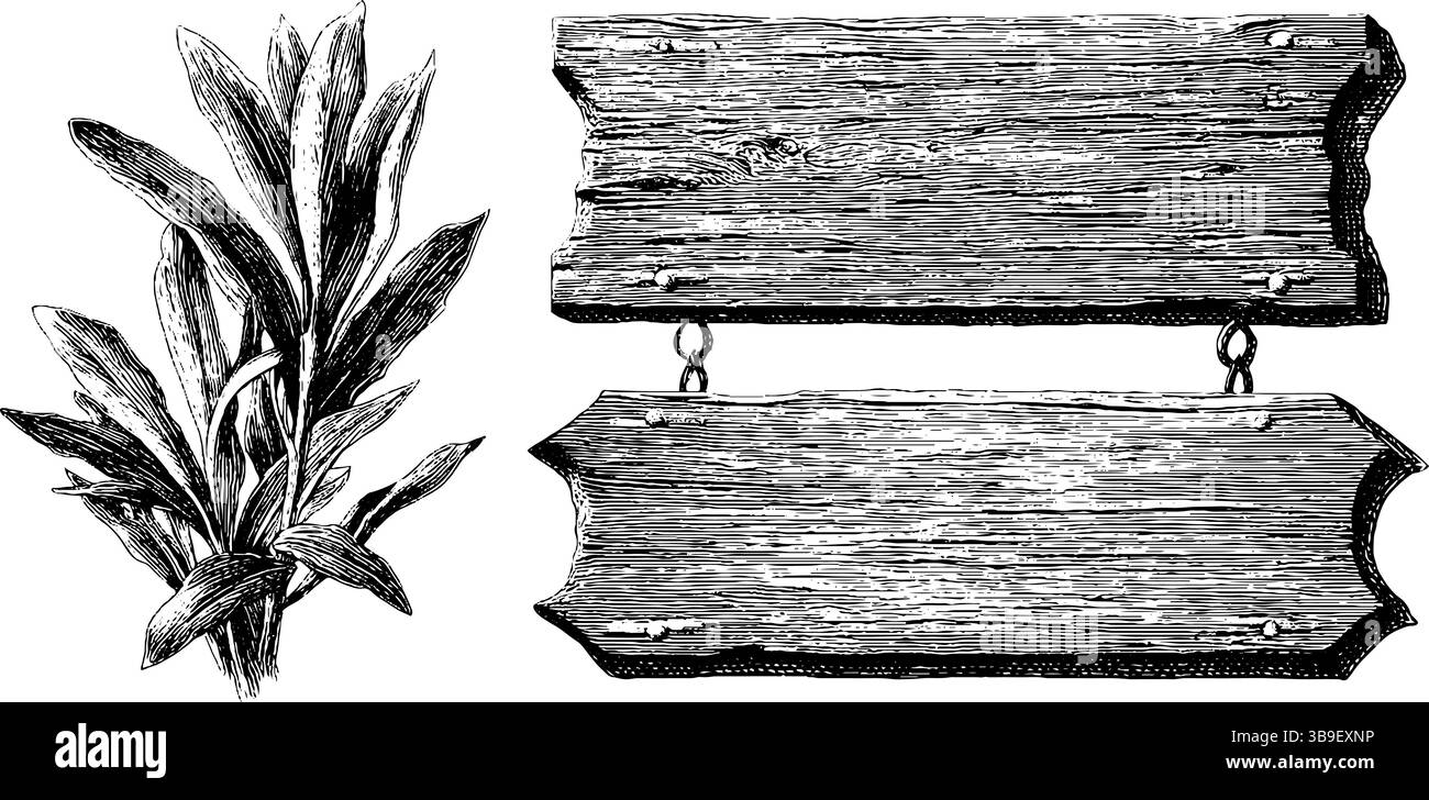 Vintage engraved illustration set featuring rustic wooden signage and ...