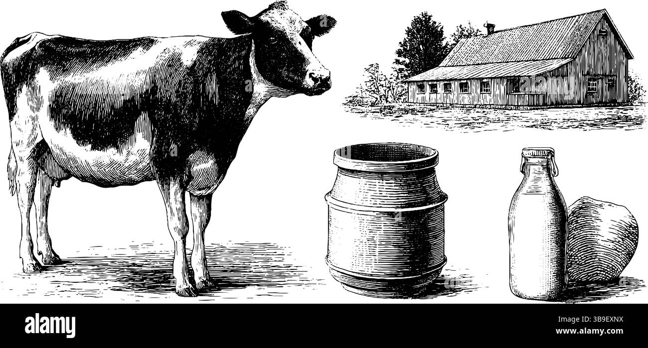 Engraved illustration of cow, dairy barn, and dairy products for farm ...