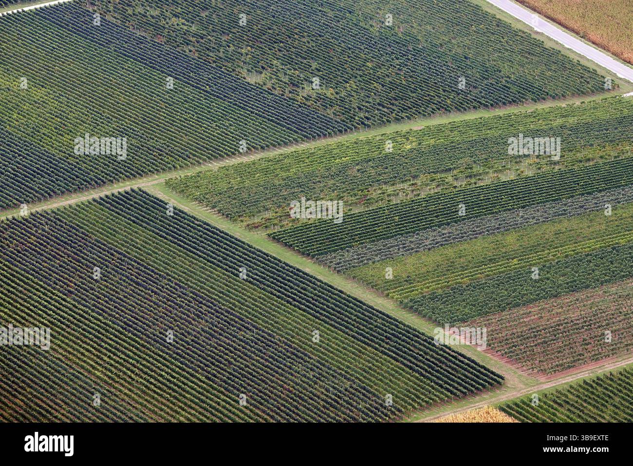 Fields from a bird's eye view Stock Photo - Alamy