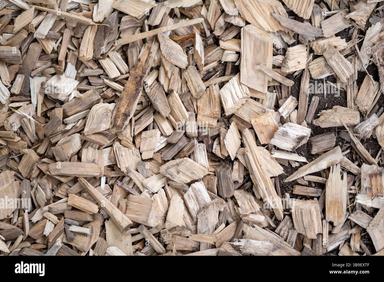 Light conifer wood chips with foliage Stock Photo - Alamy