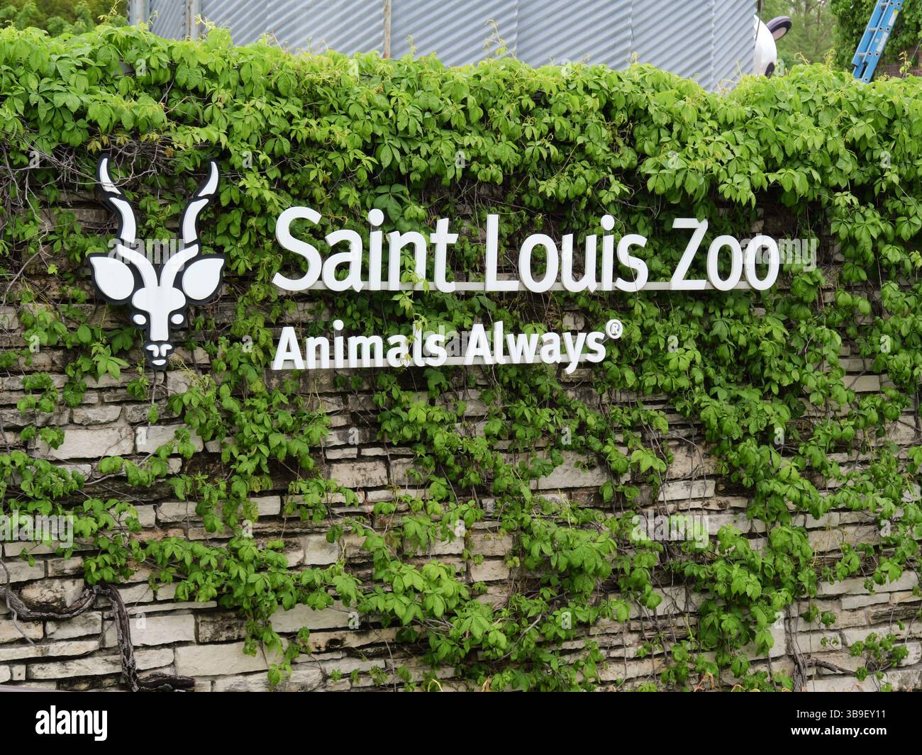 St. Louis, Missouri - May 4, 2025: Saint Louis Zoo - Top Free Zoo in ...