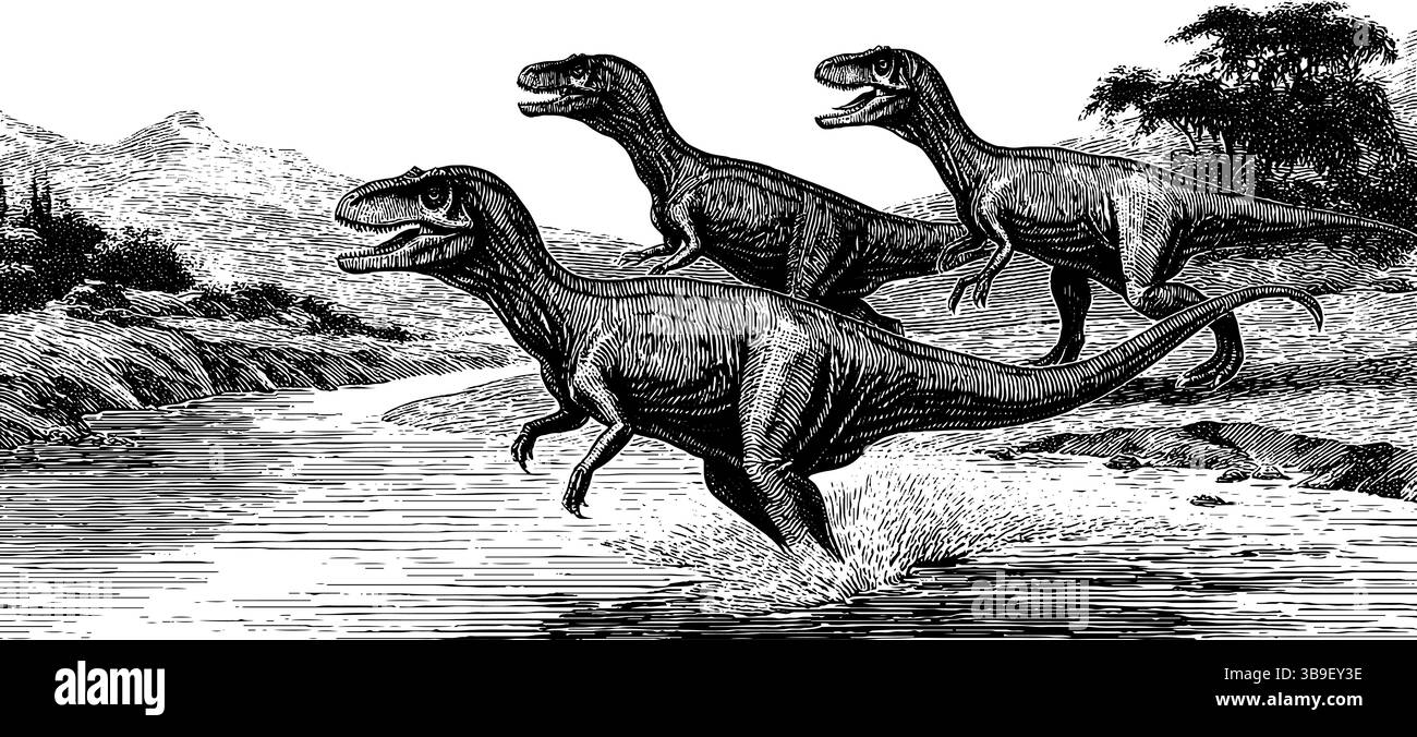 Engraved illustration of dinosaur herd crossing river in prehistoric ...