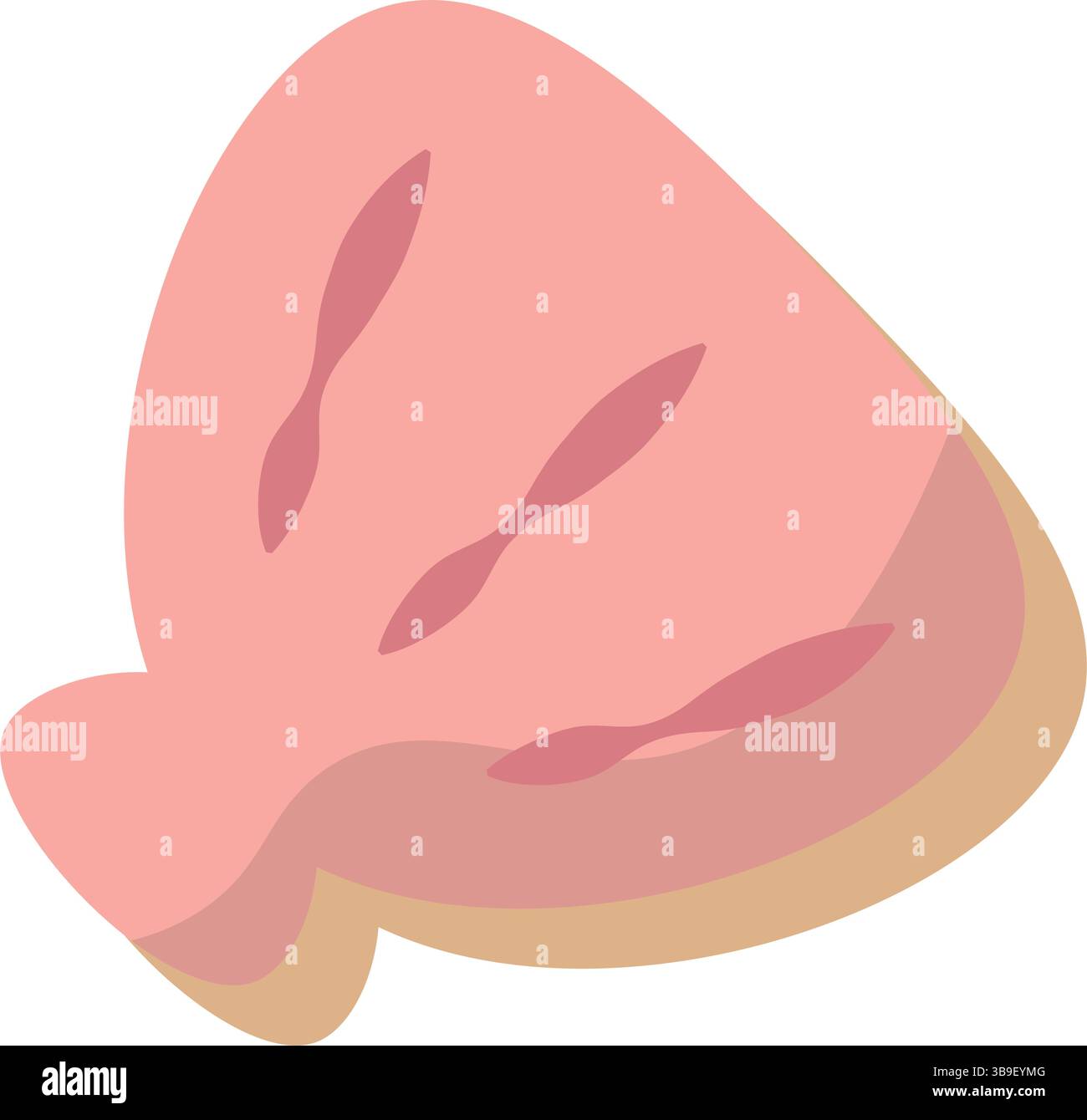 Pink seashell clipart. Vector illustration Stock Vector Image & Art - Alamy