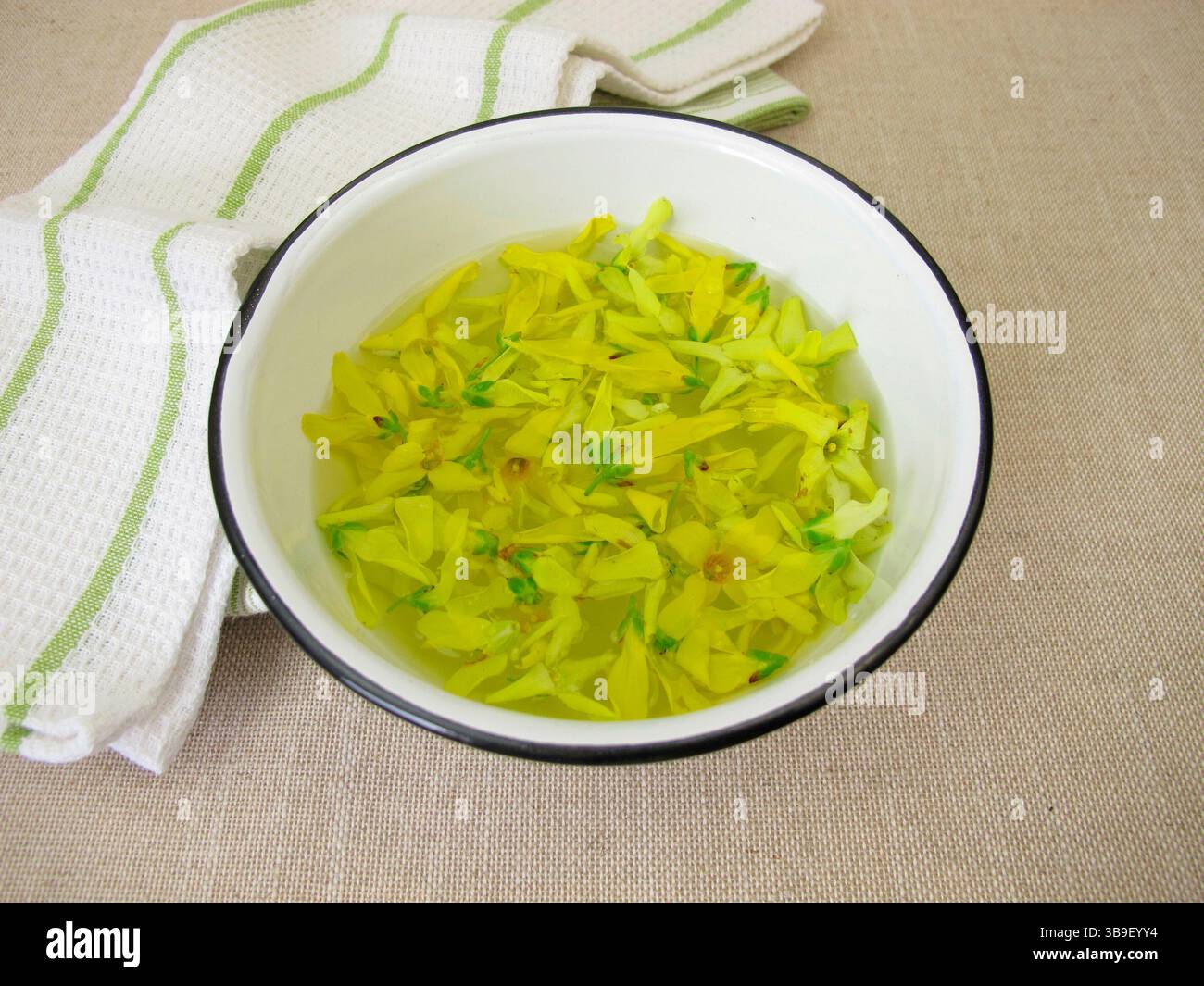 Forsythia water, infusion of yellow forsythia flowers Stock Photo - Alamy