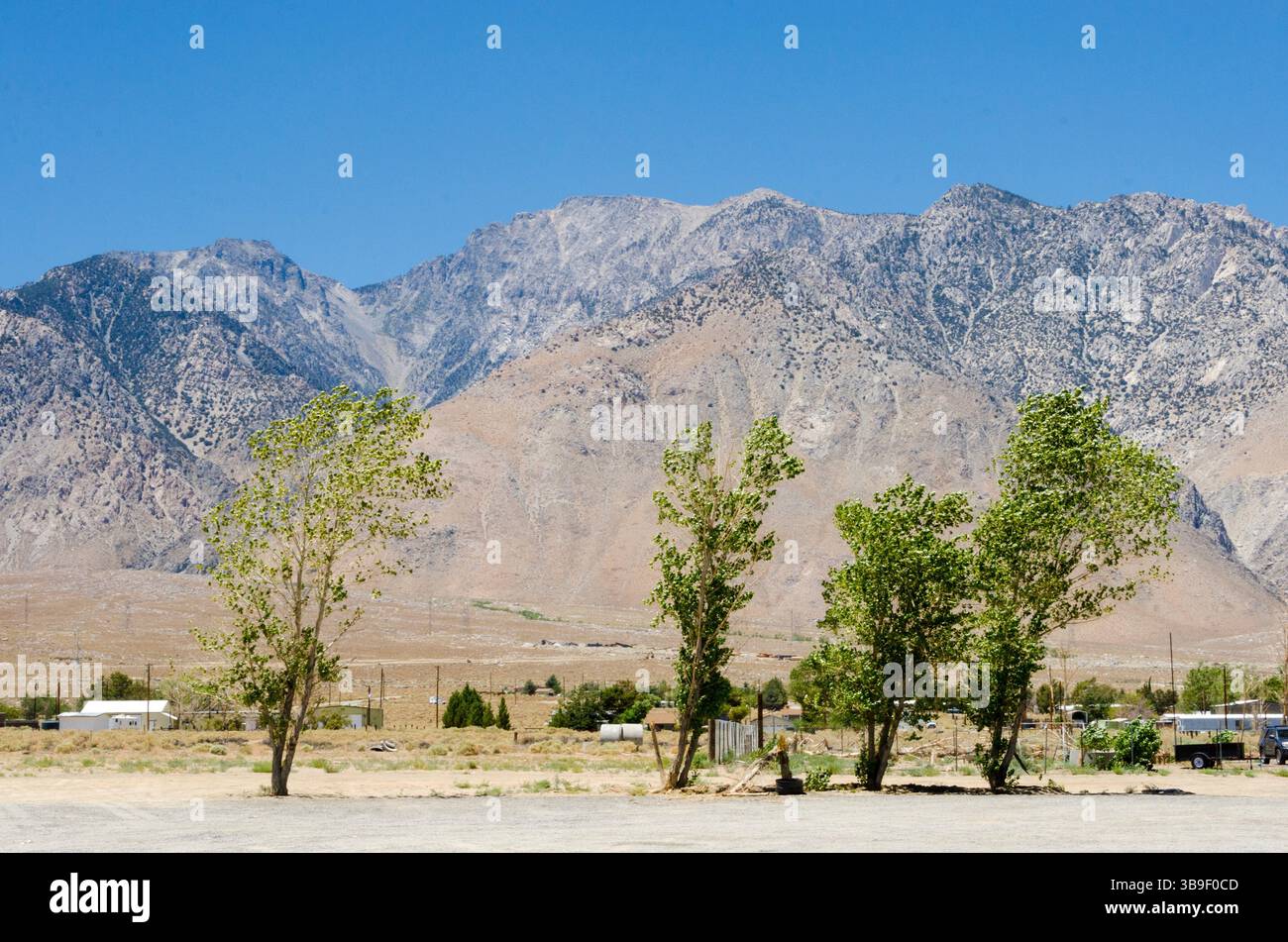 Lonely deciduous trees at the edge of the sierra nevada hi-res stock ...