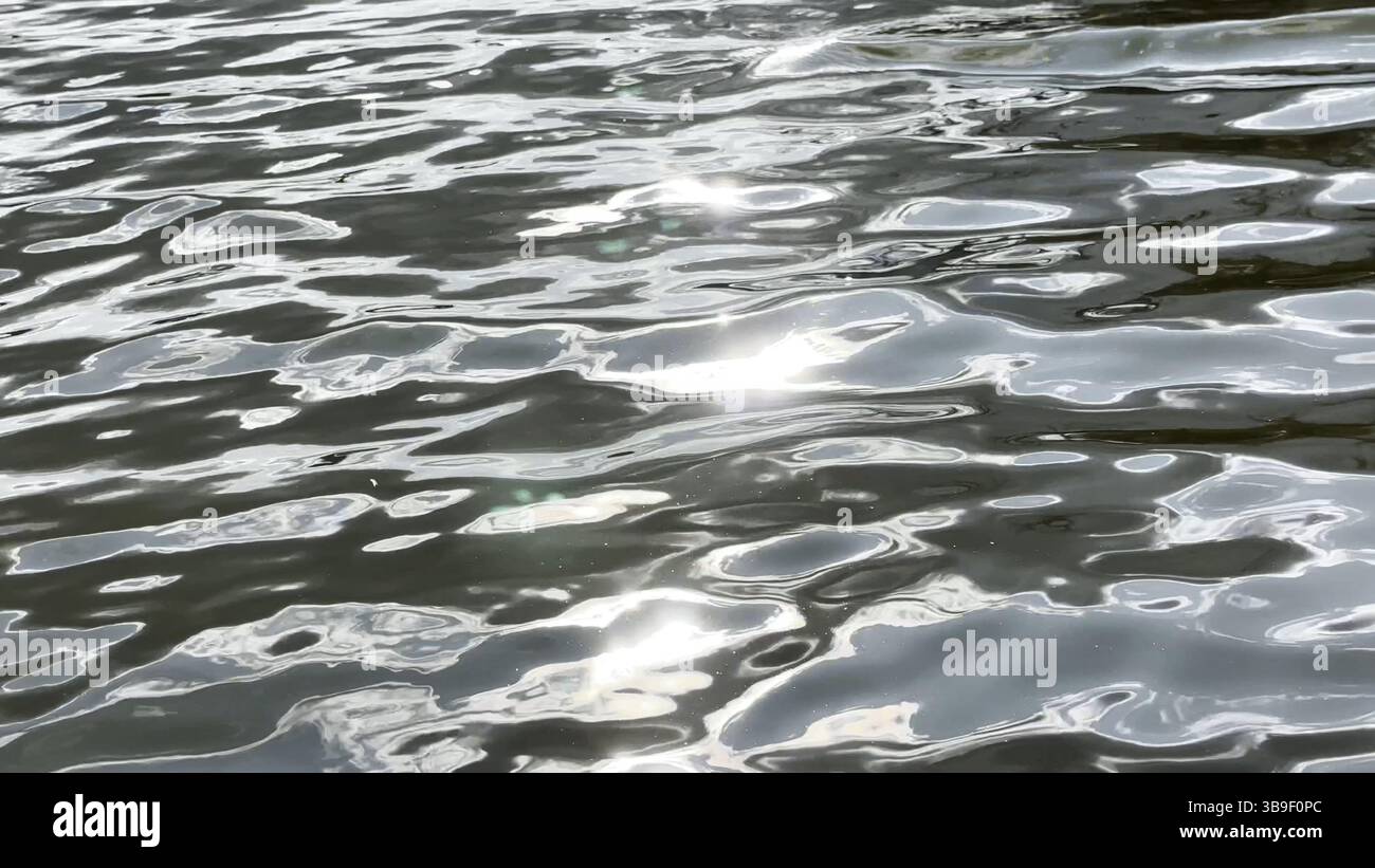 Scenery surface of pond illuminated by sun at summertime. Calm view on ...