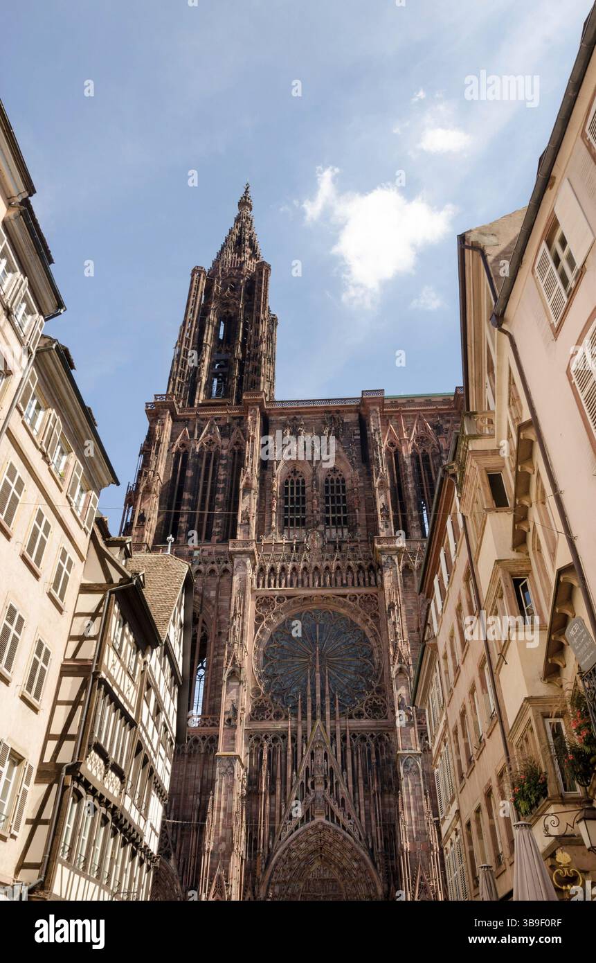 Front view of Notre Dame Cathedral in Strasbourg Stock Photo - Alamy