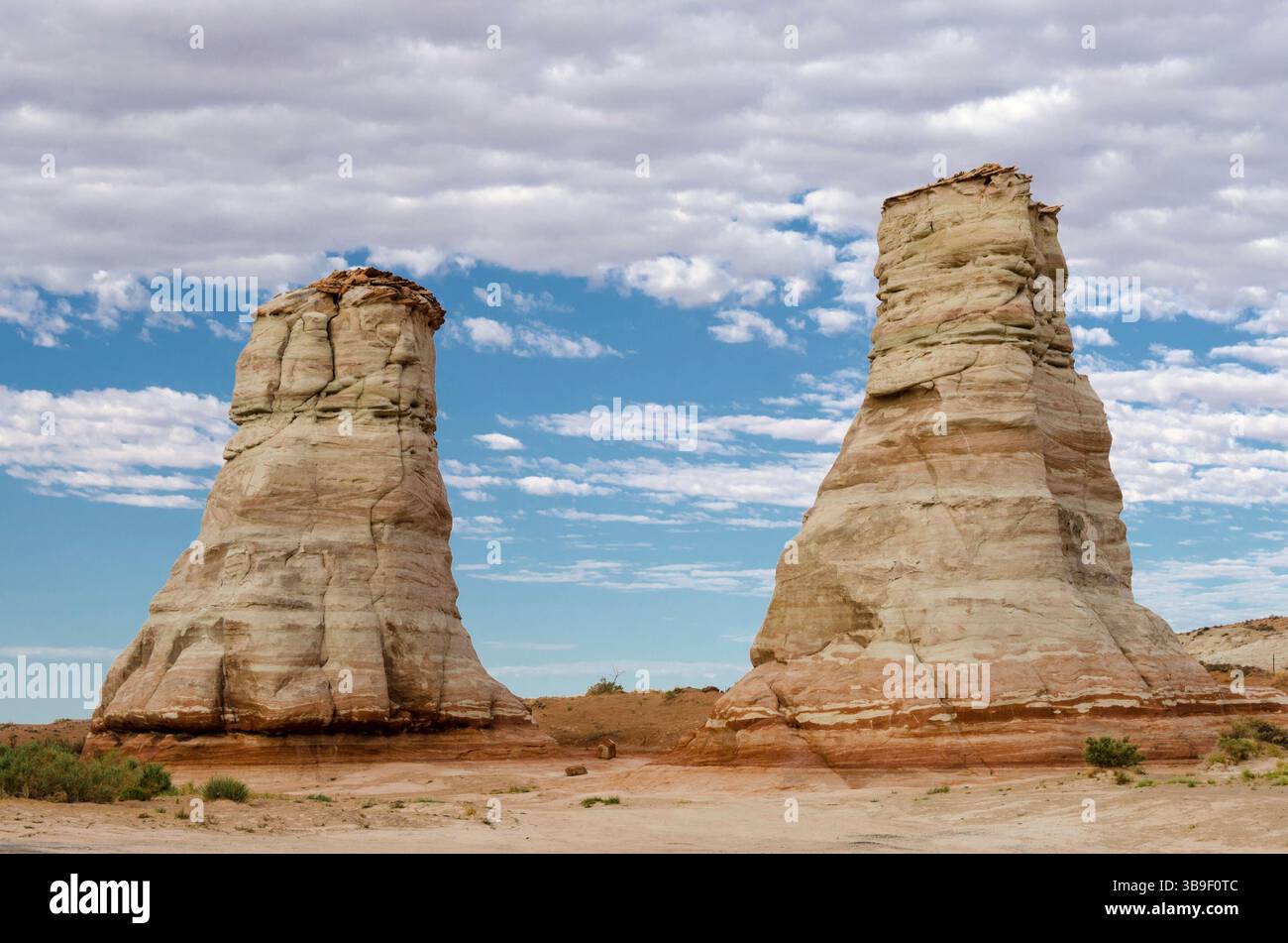 Elephant feet arizona hi-res stock photography and images - Alamy