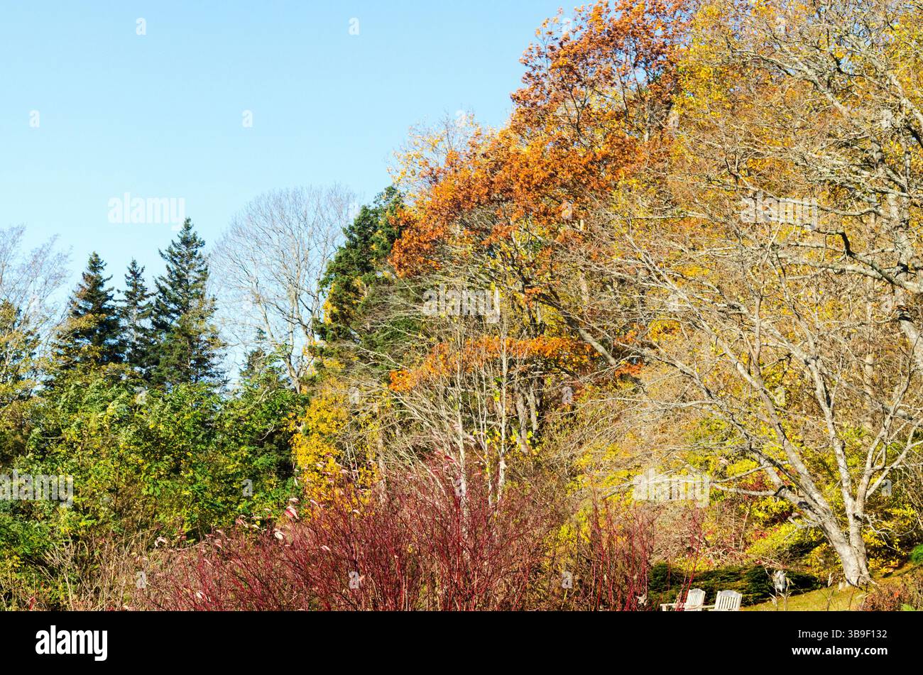 Canada colours hi-res stock photography and images - Alamy