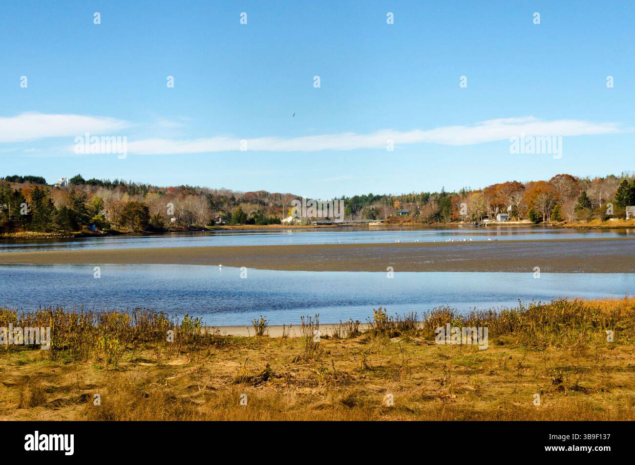Autumn in rissers beach provincial park hi-res stock photography and ...