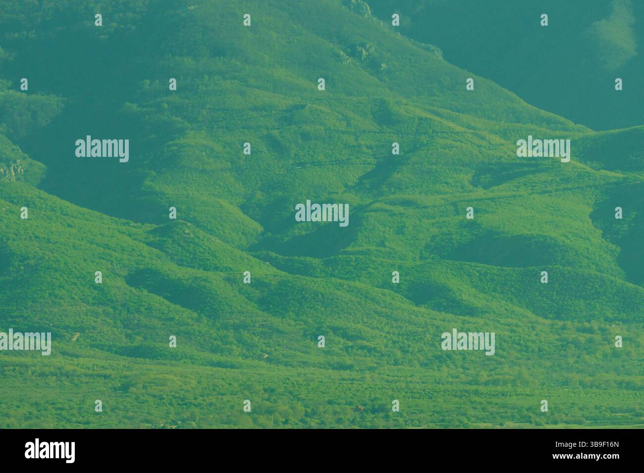 Layered foliage structure hi-res stock photography and images - Alamy