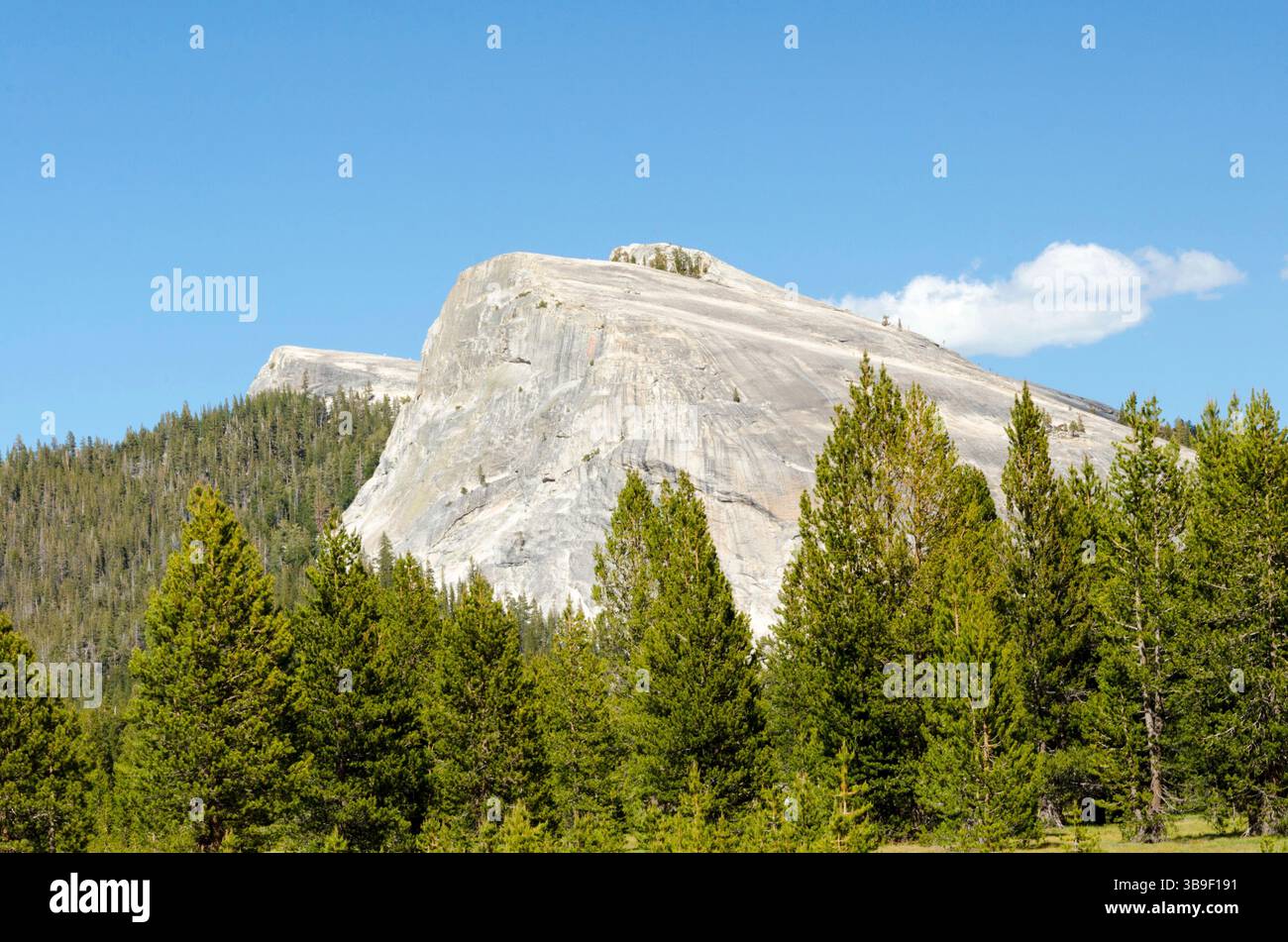 Imposing rock massif Pothole Dome near Tuolumne Meadows Stock Photo - Alamy