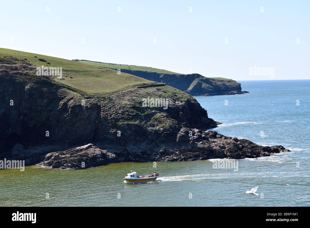 Fishing Boat coming back into Port Isaac Harbour Entrance Cornwall ...