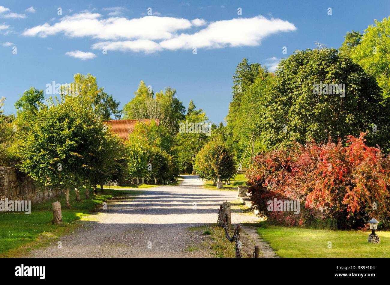 Approach road to Palmse Manor Stock Photo - Alamy