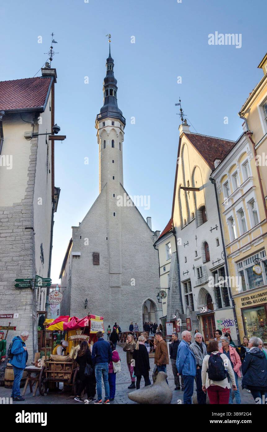 Tallinn side view hi-res stock photography and images - Alamy