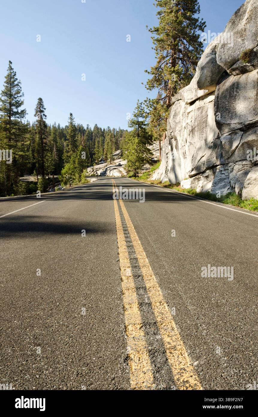 Generals Highway in Sequoia National Park Stock Photo - Alamy