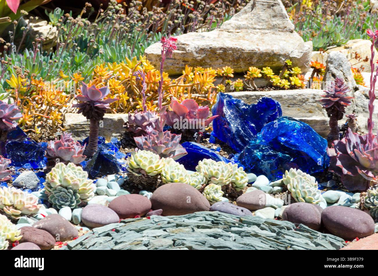 Succulents and shards in the garden hi-res stock photography and images ...