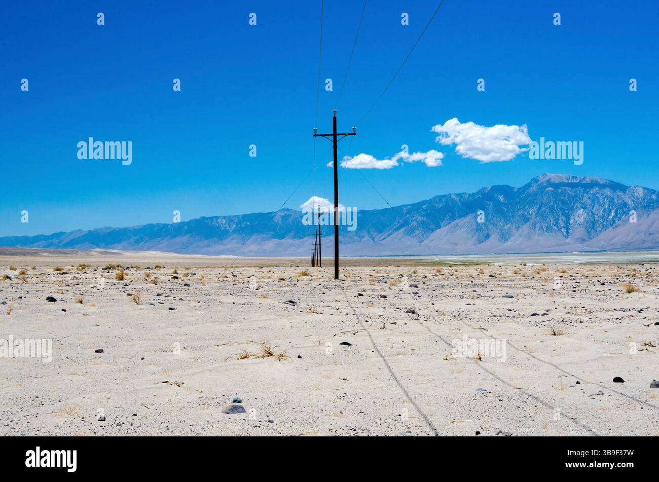 Straight telephone line to the horizon Stock Photo - Alamy
