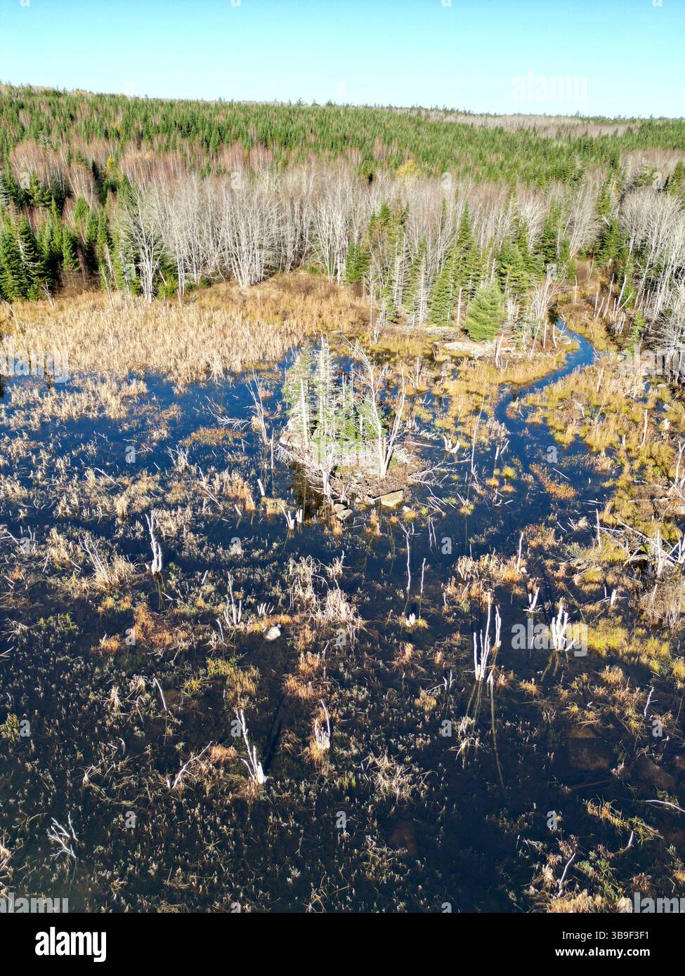 Raised bog in Nova Scotia from above Stock Photo - Alamy