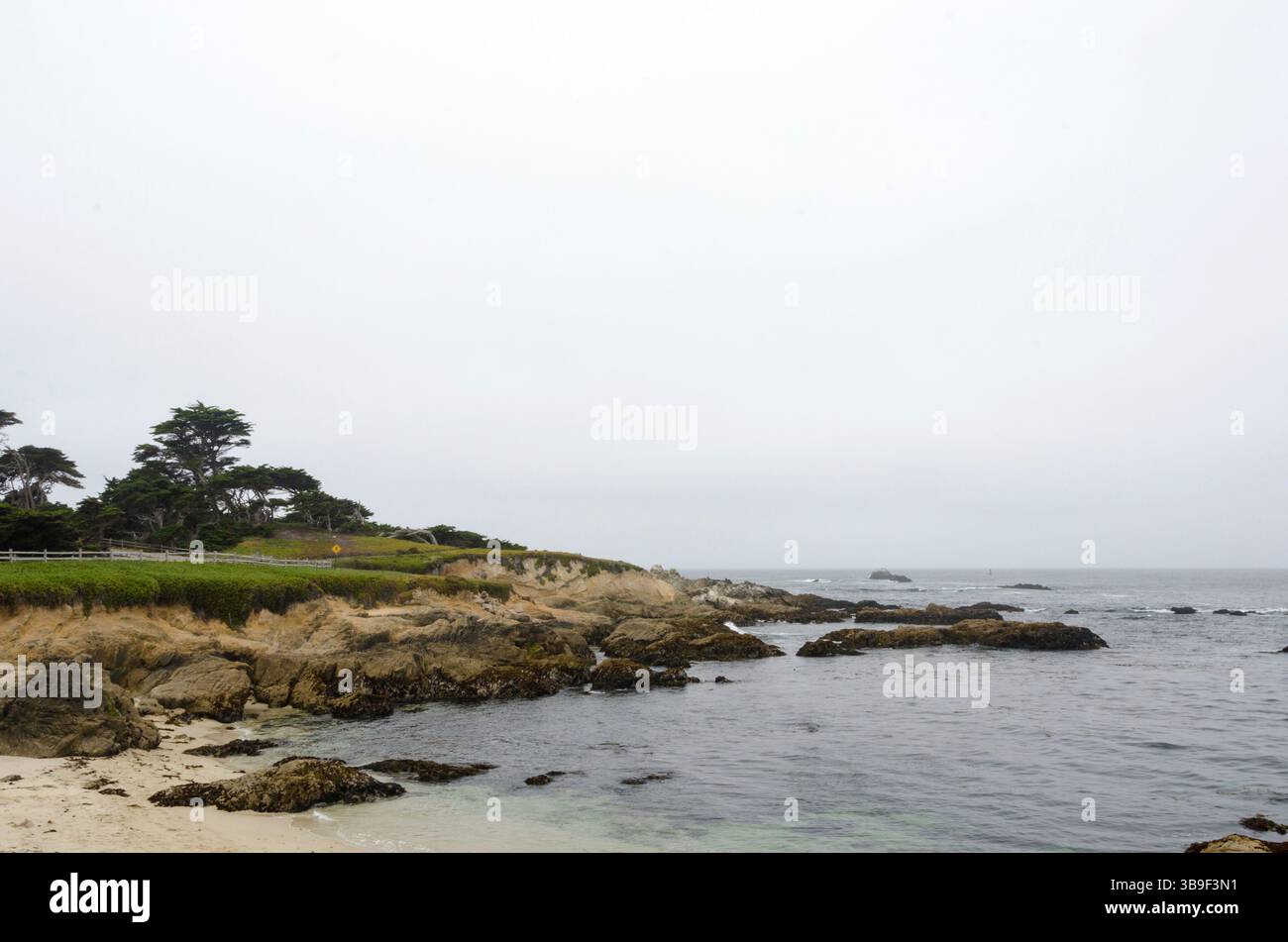 Headland on the 17-Mile-Drive Stock Photo - Alamy