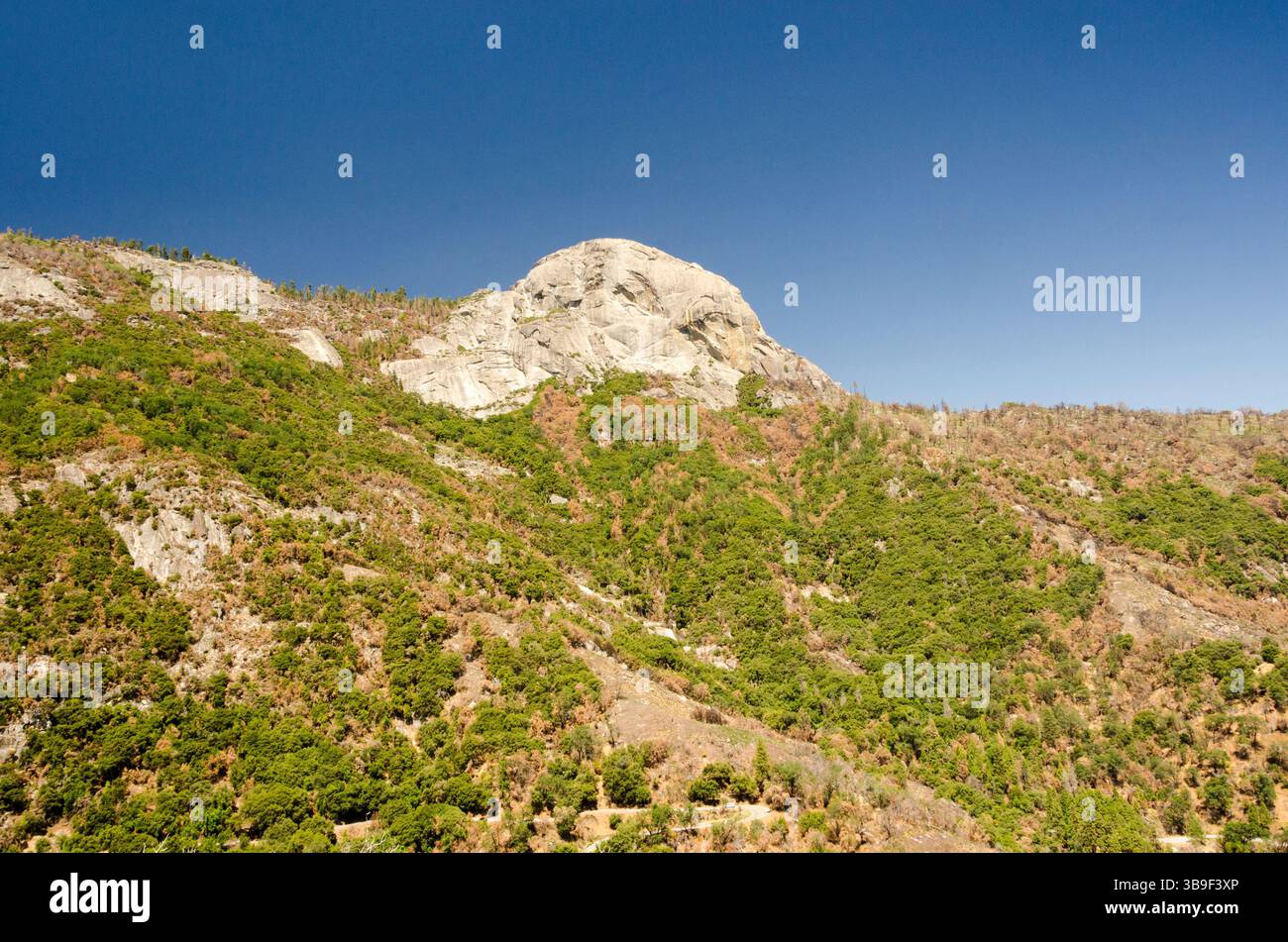 Hills in the Sierra Nevada Stock Photo - Alamy